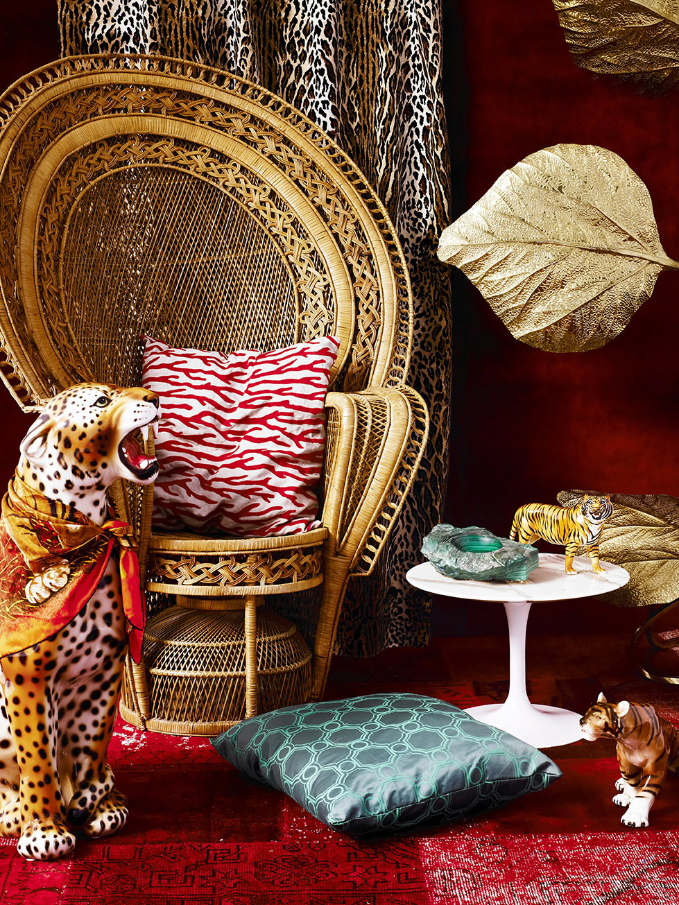 Leopard | PETE BERMEJO