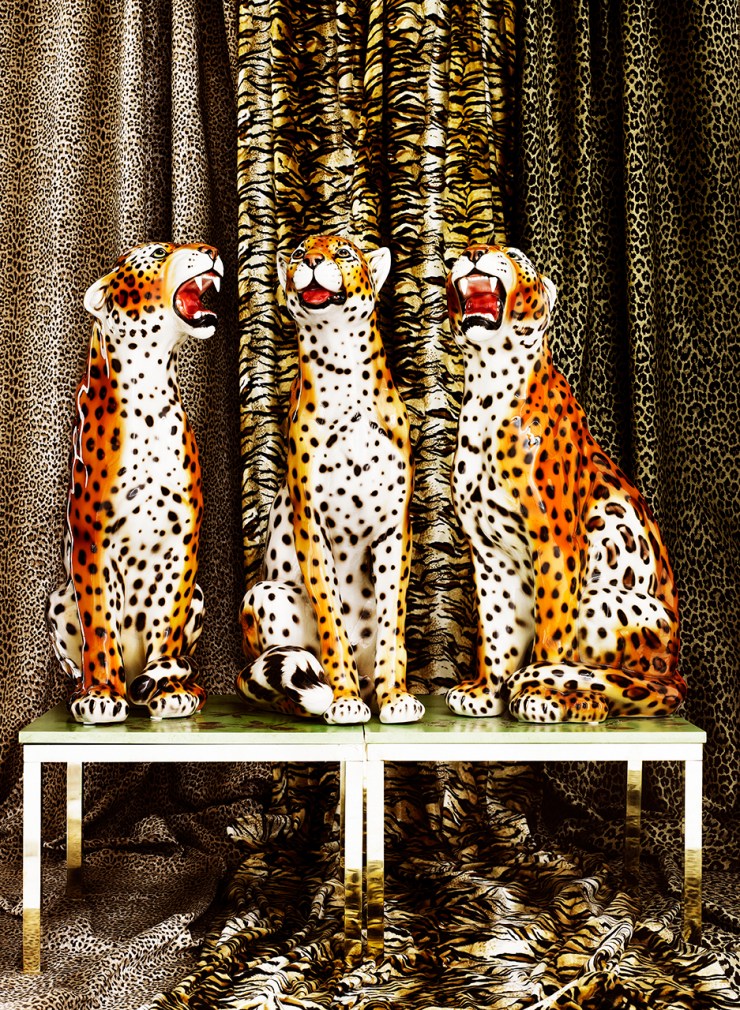 Leopard | PETE BERMEJO